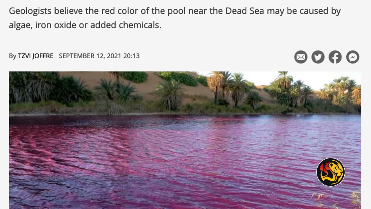 Pool Of Water Near Dead Sea Turns Blood Red, Authorities Investigating