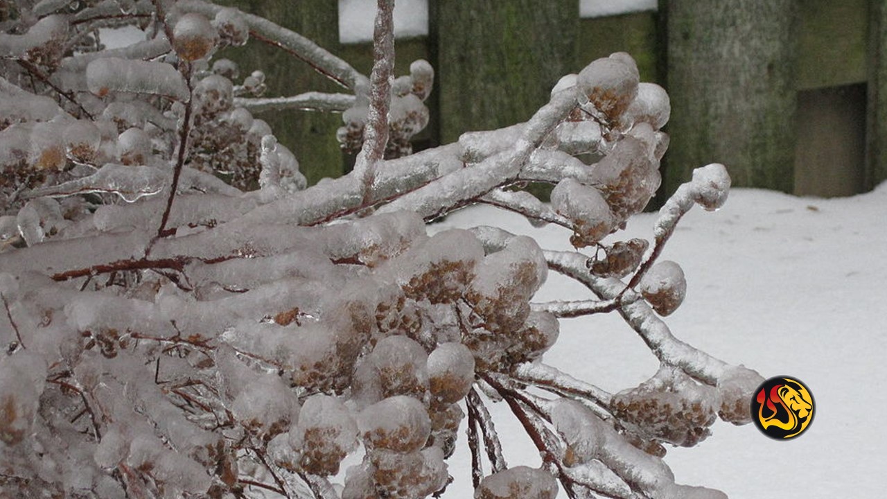 US Deadly Icy Storm Traps Millions